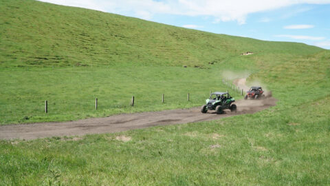 Burts Trail Ride - Bay of Plenty Trail Riding